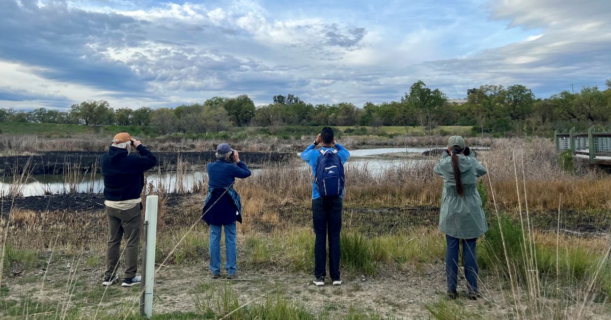 Restoration Biologist Position | Cache Creek Conservancy