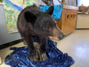 Nature Preserve Visitor Center | Cache Creek Conservancy