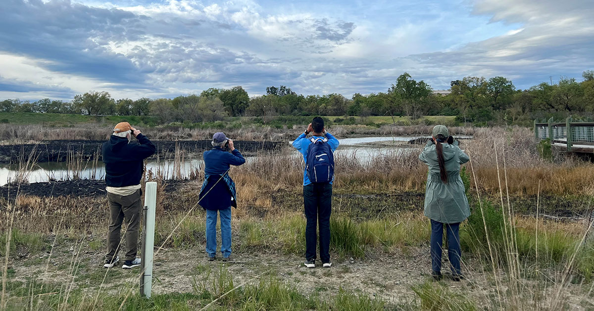Great Backyard Bird Count 2025 | Cache Creek Conservancy
