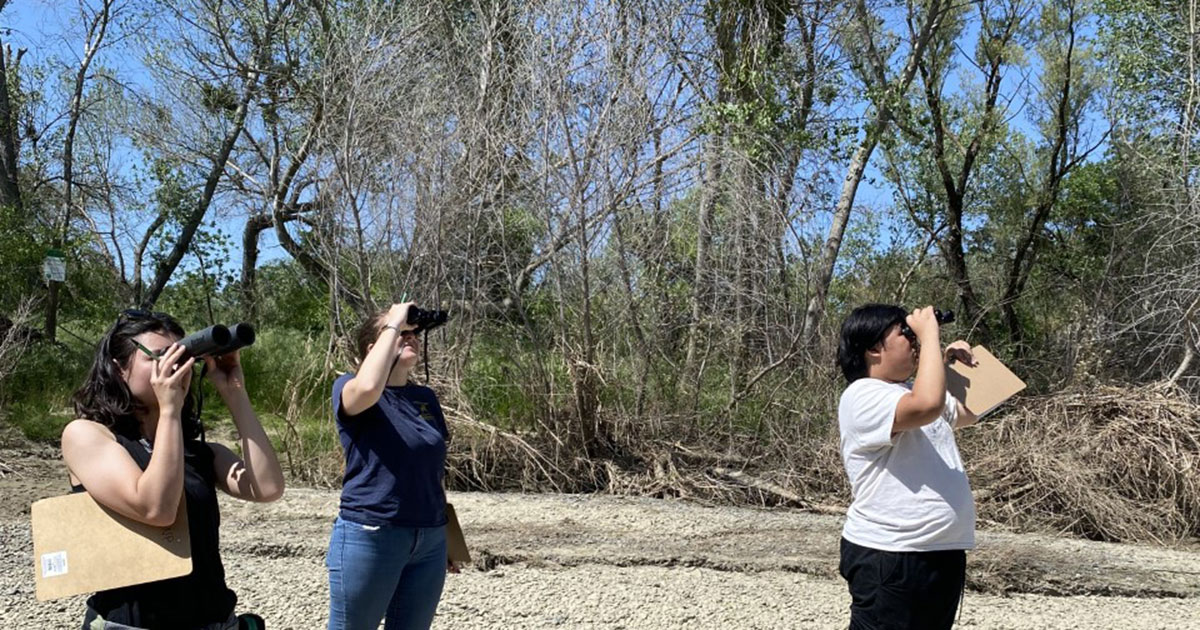 Spring Ecological & Environmental Internship Program | Cache Creek ... Spring Ecological & Environmental Internship Program | Cache Creek ...