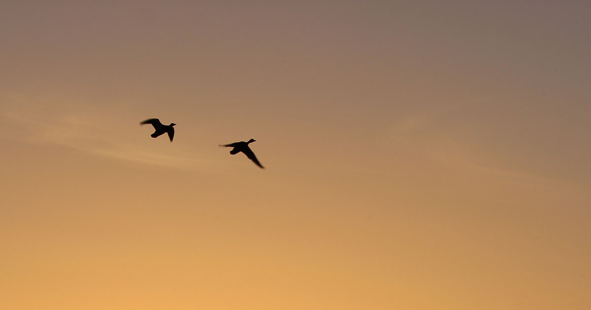 Sunset Scavenger Hunt | Cache Creek Conservancy