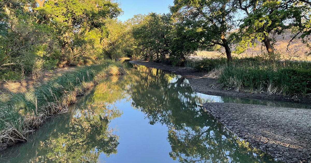 Letter from Nancy Ullrey | Cache Creek Conservancy