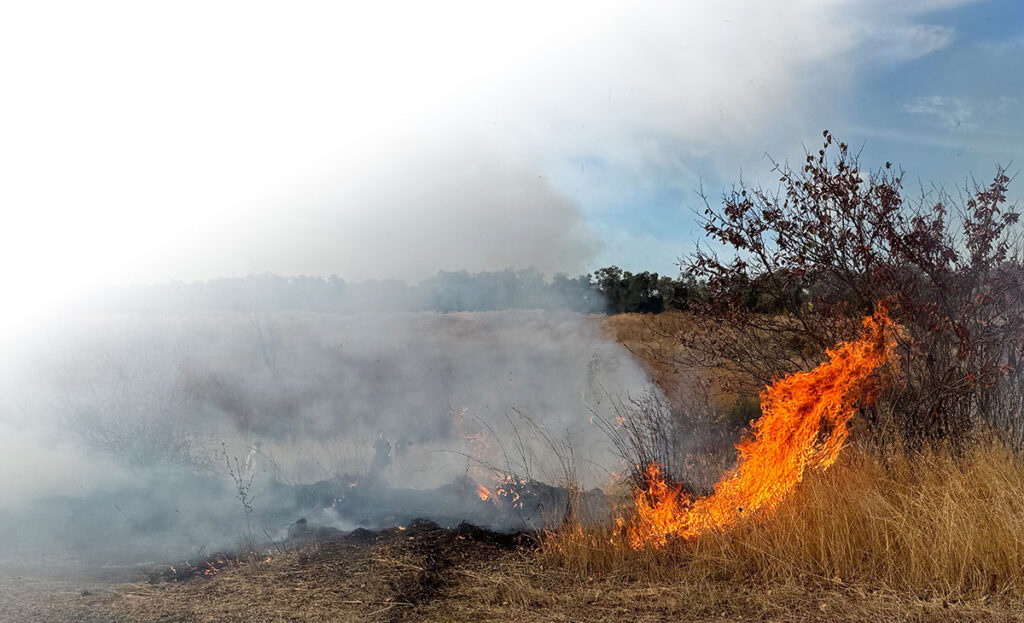 The Many Impacts of Leok Po | Cache Creek Conservancy