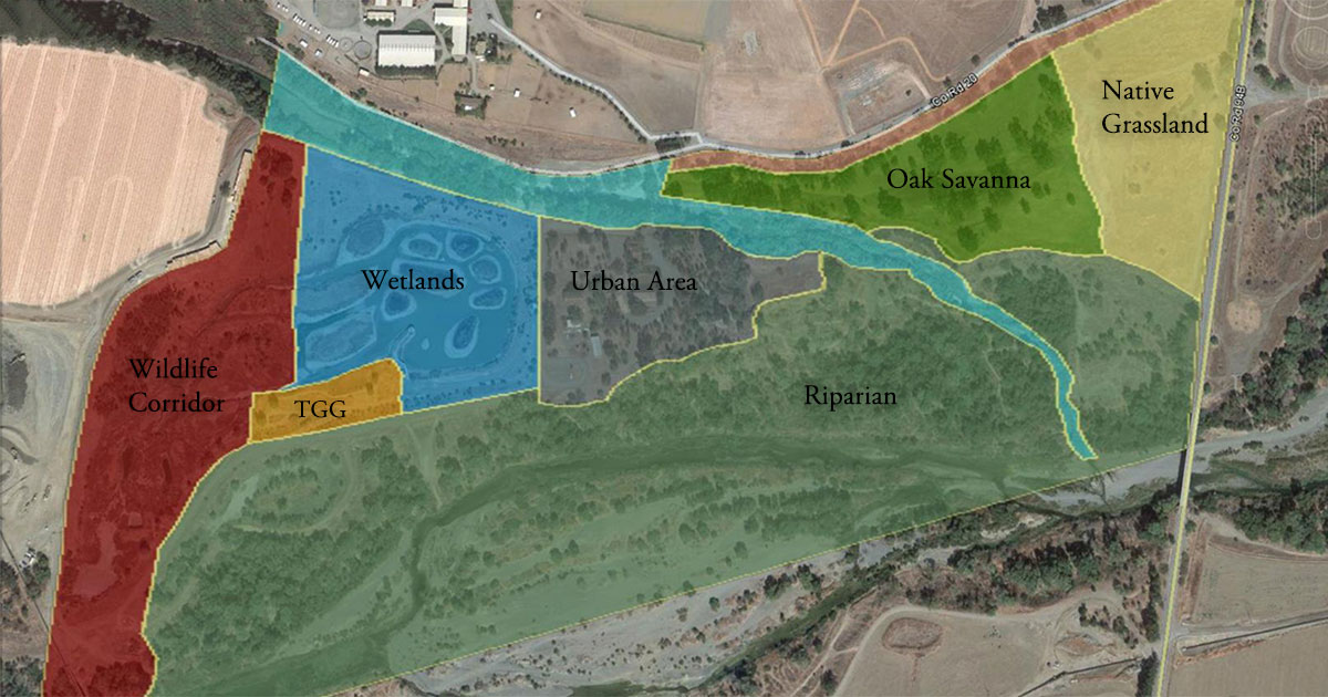 Seasonal Wildlife Series | Cache Creek Conservancy